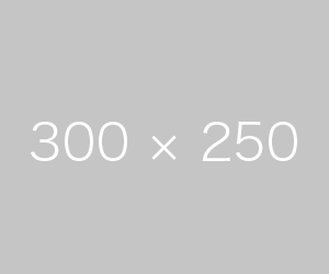 image_300x250 – ジスコグループ